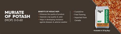 Best Mop Potash Fertilizer Price In India