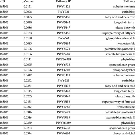 Unsupervised Population Stratification Inference A Non Negative Download Scientific Diagram