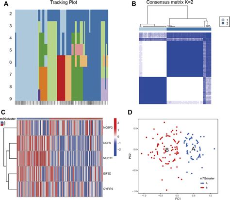 Experimental Verification And Comprehensive Analysis Of M G Methylation