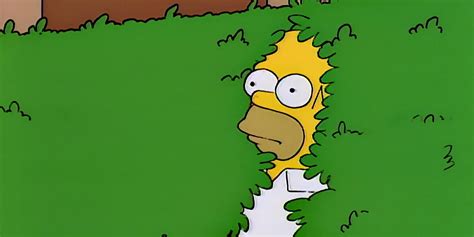 Homer Simpson Bush Meme Origins Spread And Examples