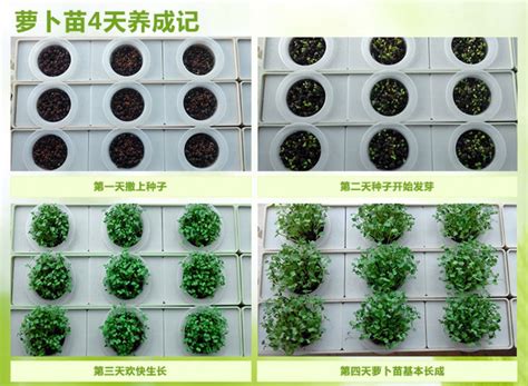 无土栽培怎么浇营养液无土栽培怎么浇水无土栽培营养液配方表第14页大山谷图库