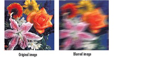 Image Deblurring Image Processing Toolbox