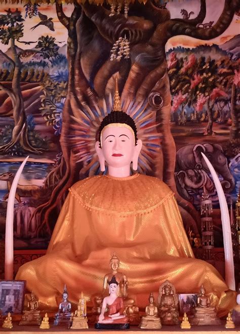 ວັດສຸວັນນະຄີລີ ນ້ຳຄຳ ເມືອງຫ້ວຍຊາຍ ແຂວງບໍ່ແກ້ວ