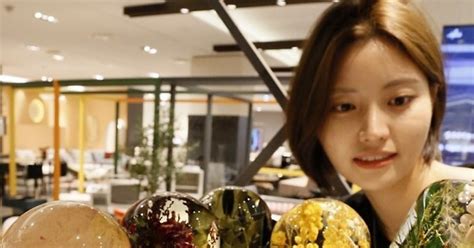 시들지 않는 식물 인테리어 어떠세요