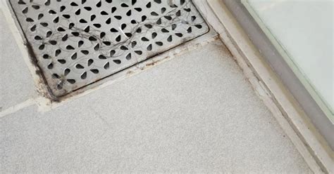 제시간에 오셔서 집안 상태에 대해 친절하게 설명해주시고 카톡으로 진행과정까지 자세하게 보내주셨습니다 깨끗하게 해주셔서 감사합니다 숨고 숨은고수