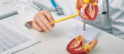 Cardiology Ime Hayat