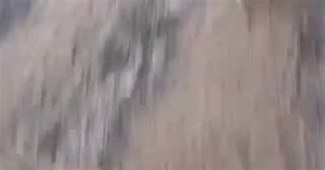 Ублюдок мать твою а ну иди сюда Пикабу