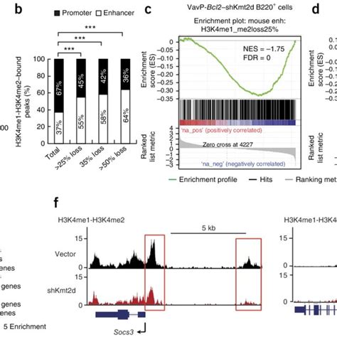 Kmt2d Deficiency Affects Physiological B Cell Behavior A Schematic Download Scientific