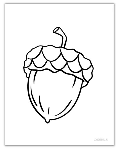 Acorn Templates Printables