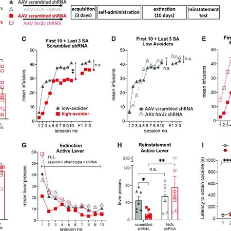 Inhibitory Role Of Rmtg 5 Ht 2c Rs In Acquisition And Reinstatement Of