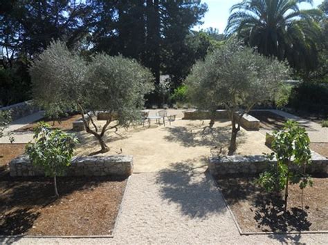 Decomposed Granite Paving Landscaping Network