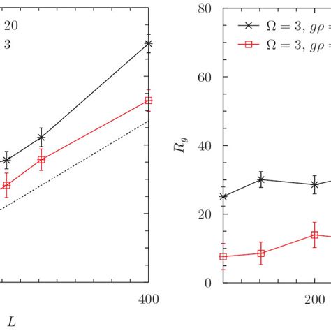 Characteristic Length Scale Rg As A Function Of System Size In The