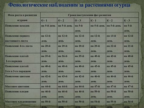 Влияние куриного помёта на урожайность огурцов презентация онлайн