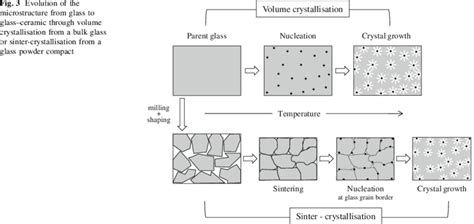 evolution of the microstructure from glass to glass ceramic through download scientific diagram