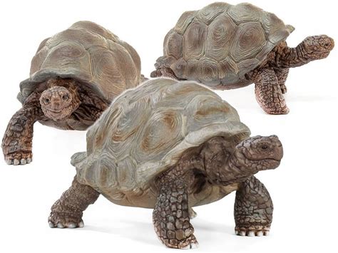 Schleich Realistyczna Figurka Żółw Olbrzymi 12634898381 oficjalne