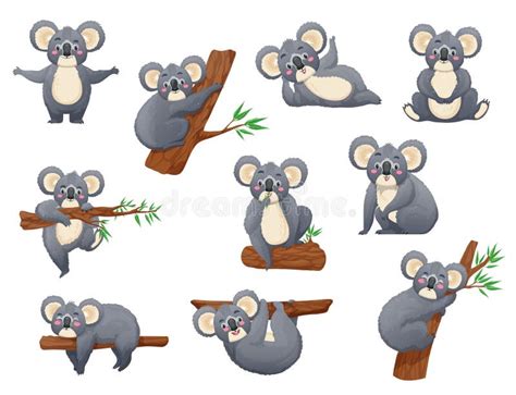 Cartoon Koala Bear Australian Animal Character Stock Vector