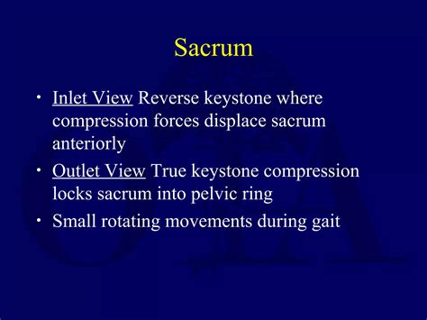 V01 Anatomy Classpelvis Ppt