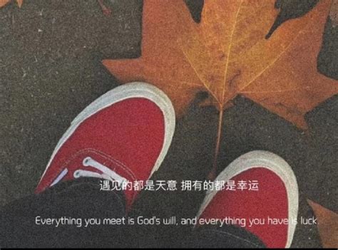 有幸遇见你的文案 知乎