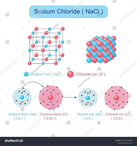 Sodium Chloride Nacl Structure Ionic Crystal Stok Vektör Telifsiz