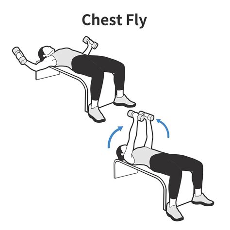 38 Types Of Dumbbell Exercise Illustrations And 1 Type Of Poster File Etsy