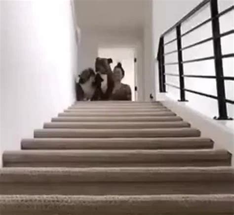 Are You Ready Album On Imgur