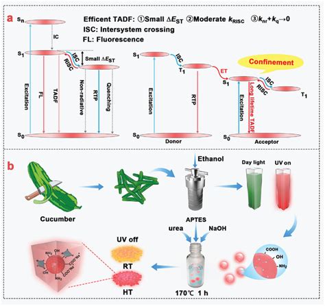 A Left Tadf Mechanism With Small Est Moderate Krisc And Slow Knr
