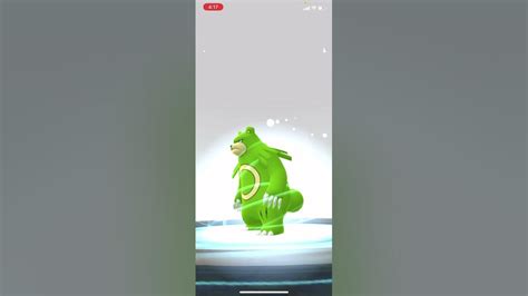 Pokémon Go Evolving To New Shiny Ursaluna Youtube