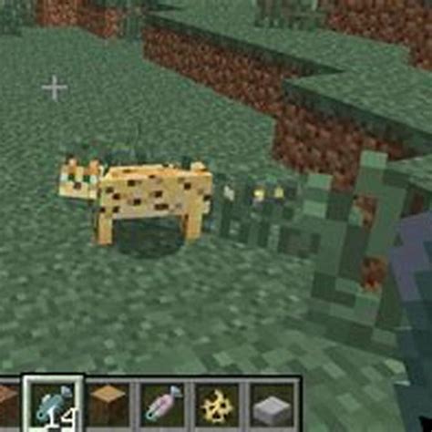 How Do You Feed A Cat In Minecraft DIY Seattle