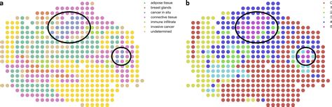 Alignment And Integration Of Spatial Transcriptomics Data Pmc