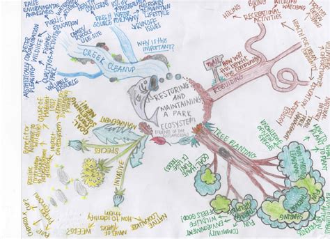 Restoringmaintaining A Park Ecosystem Mind Map Greenstewardshipblog