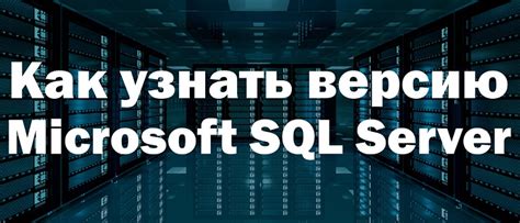 Как узнать версию Microsoft Sql Server на T Sql Info It