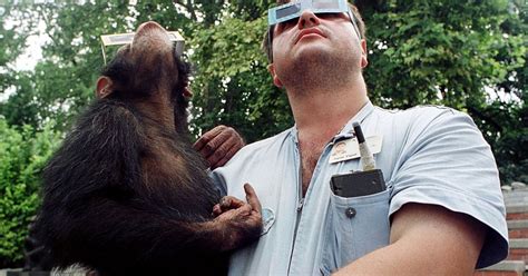 How Do Animals React To An Eclipse Depends If Theyre Smart Time