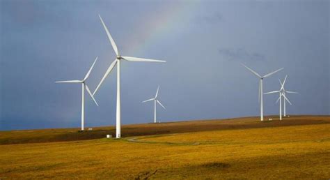 Wind Turbine Tour Or Biogas Tour In Vienna Vienna