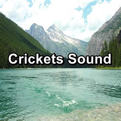 Reproducir Crickets Sound De 4d Nature Recordings Crickets Tinnitus