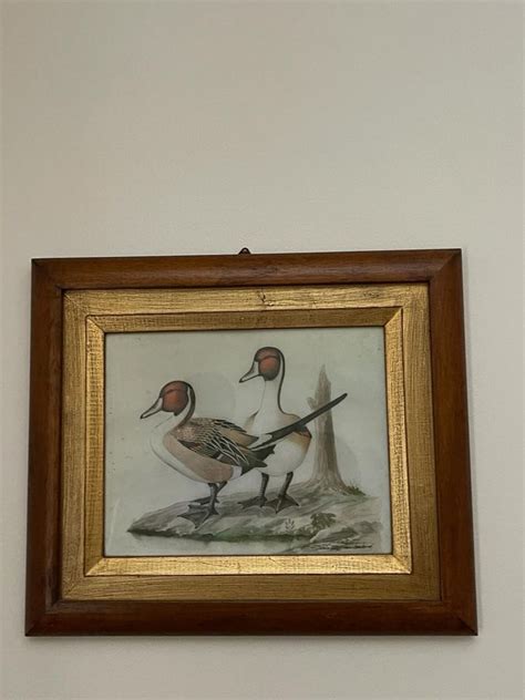 Quadros Patos Antigos Cascais E Estoril OLX Portugal
