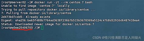 Wsl安装centos系统wsl Centos Csdn博客
