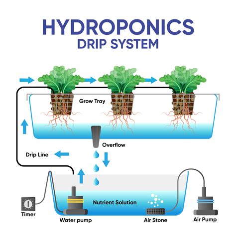 The Simple Guide How Does Hydroponics Work Hydrokrat