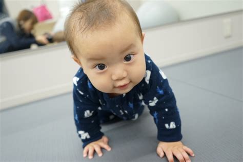 赤ちゃんのハイハイはいつから？注意点と安全対策、ハイハイしない場合はどうするべき？ Mamioh
