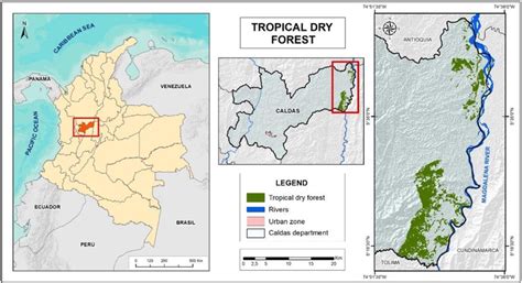 Figure 1 From Assessing The Performance Of Random Forest Regression For Estimating Canopy Height