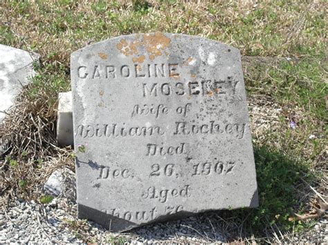 Caroline Mosley Telegraph
