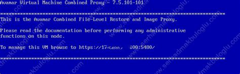 Upgradeinstall Avamar Proxy Vm Serhad Makbuloglu