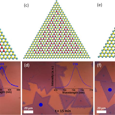 A Schematic Structure And B Optical Image Of Mose2mos2 With 5 Min