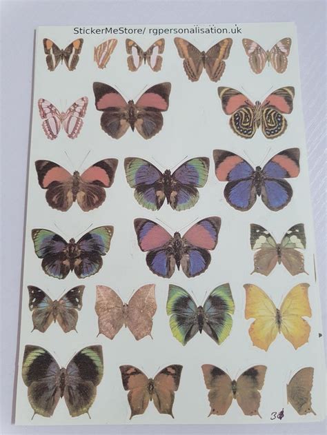 Excited To Share The Latest Addition To My Etsy Shop Butterfly