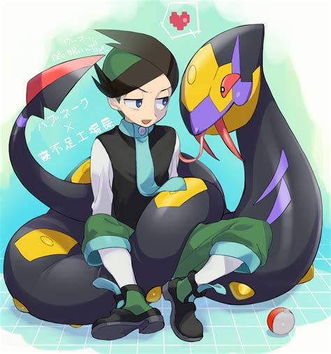 Migi Mm86262394 Thorton Pokemon Nintendo Pokemon Pokemon Dppt