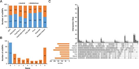 A Distribution Of Deleterious Orange And Neutral Blue Nssnps Download Scientific Diagram
