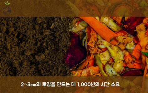 12월 5일은 세계 토양의 날