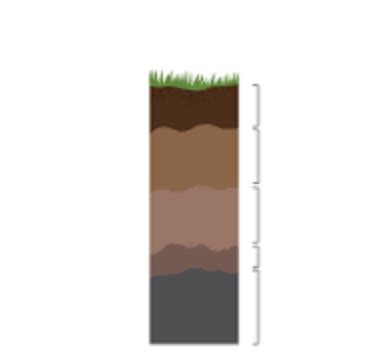 Soil Quiz Diagram Quizlet