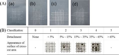 A Photograph Of Adhesion Tapes After Adhesion Strength Test A B10