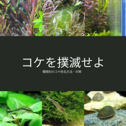 Aqualassic