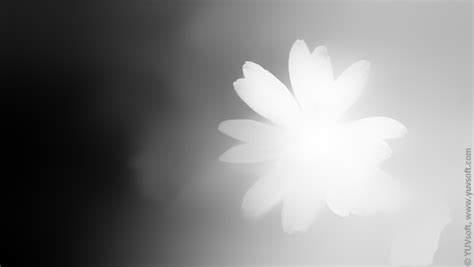 Stereo Generator Plugin For Nuke Yuvsoft